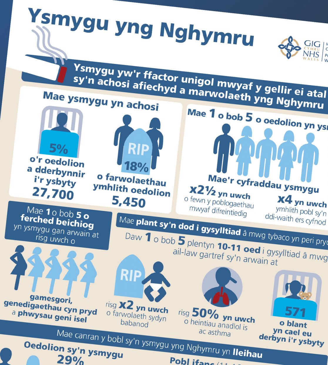 Infographic fact sheets – Jenney Creative